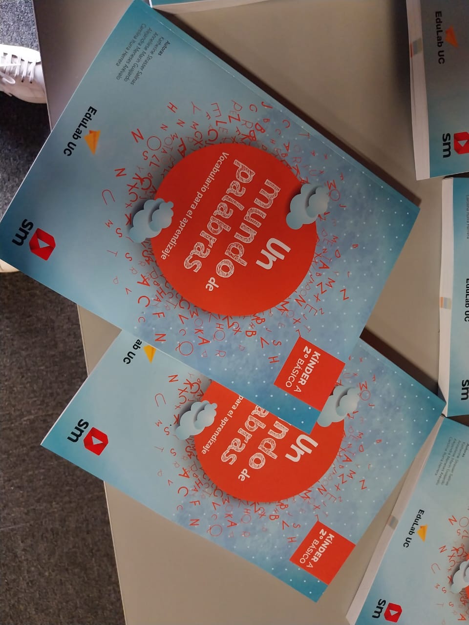 “Un mundo de palabras”: UC lanza nuevo libro para apoyar la enseñanza ...